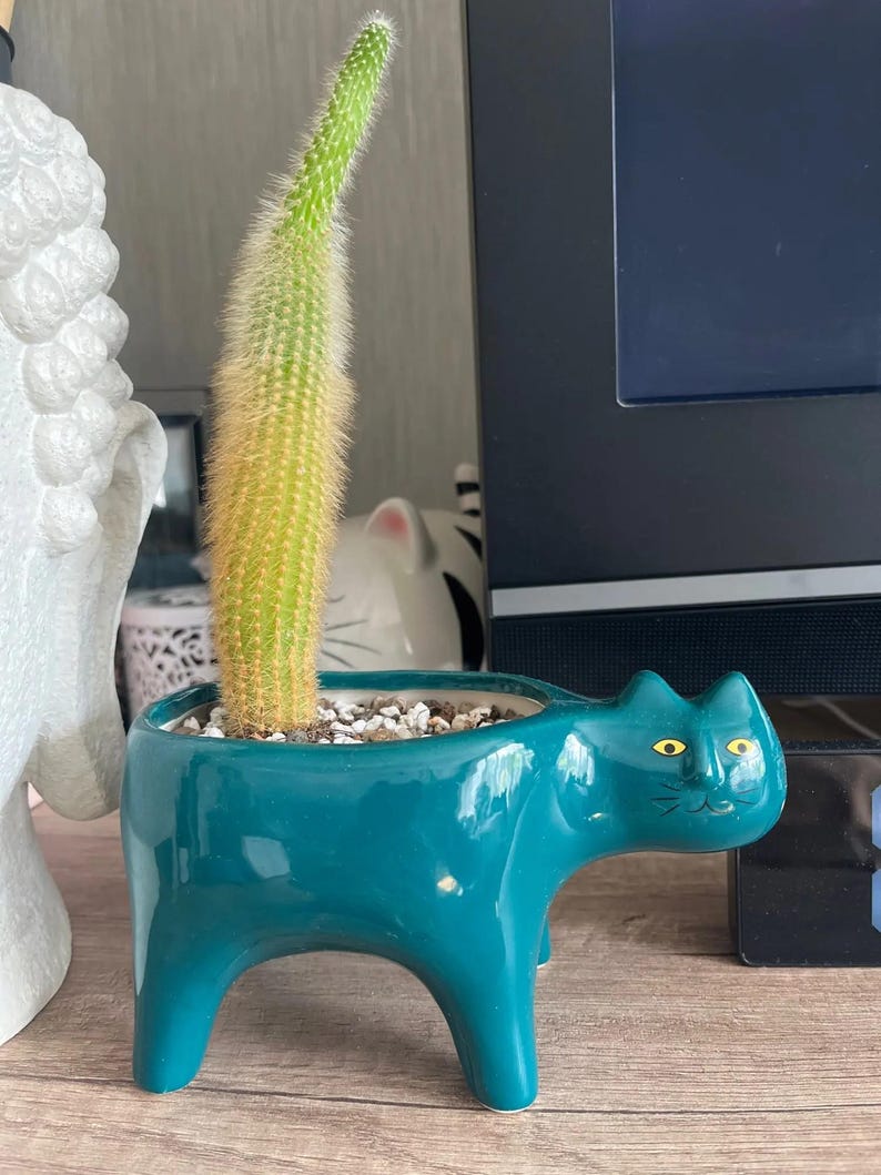 Goofy Cat Ceramic Planter, Succulent Plant Pots, Funny Animal Cactus ...