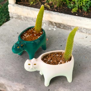 Goofy Cat Ceramic Planter, Succulent Plant Pots, Funny Animal Cactus ...