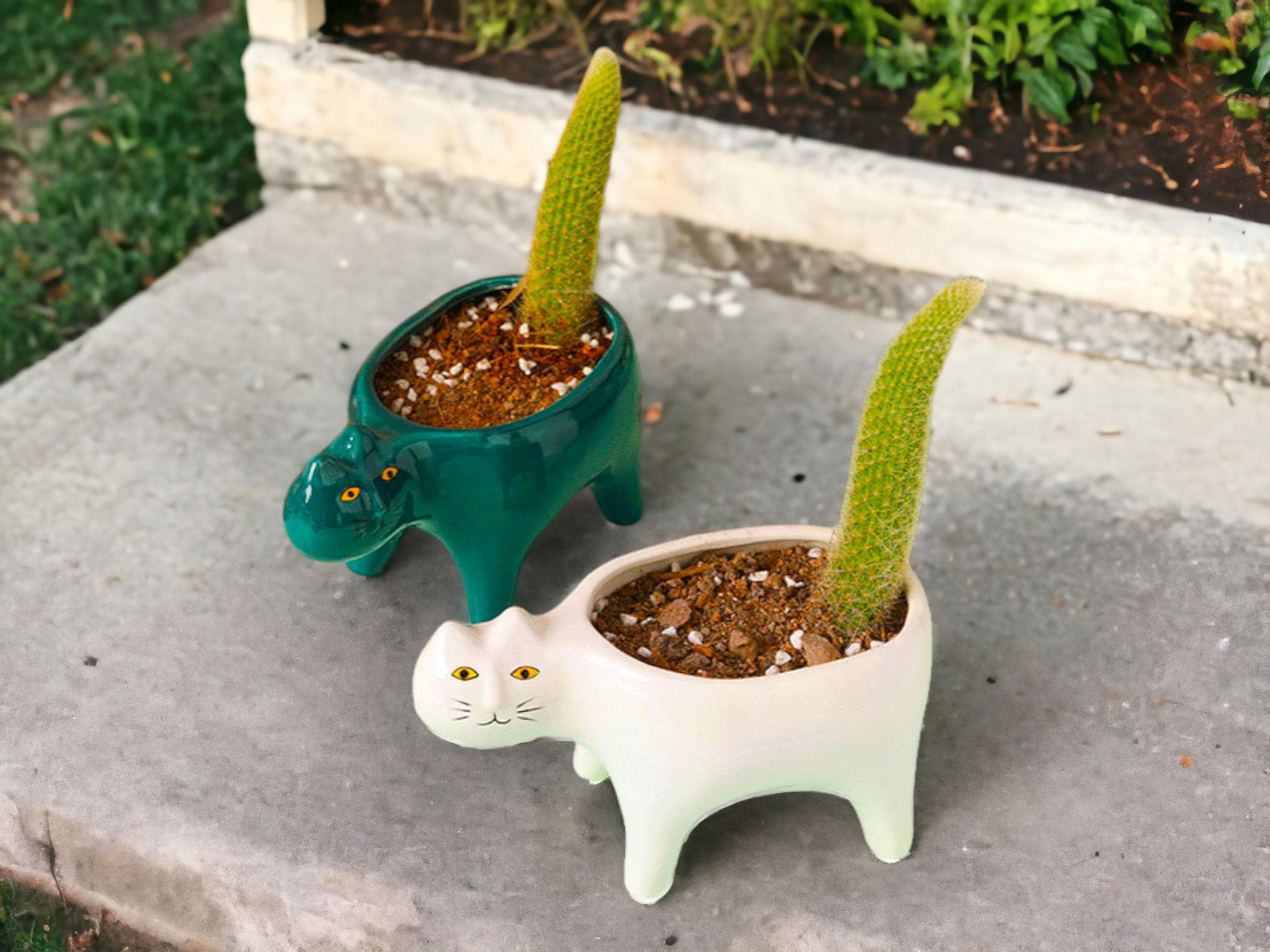 Goofy Cat Ceramic Planter, Succulent Plant Pots, Funny Animal Cactus ...