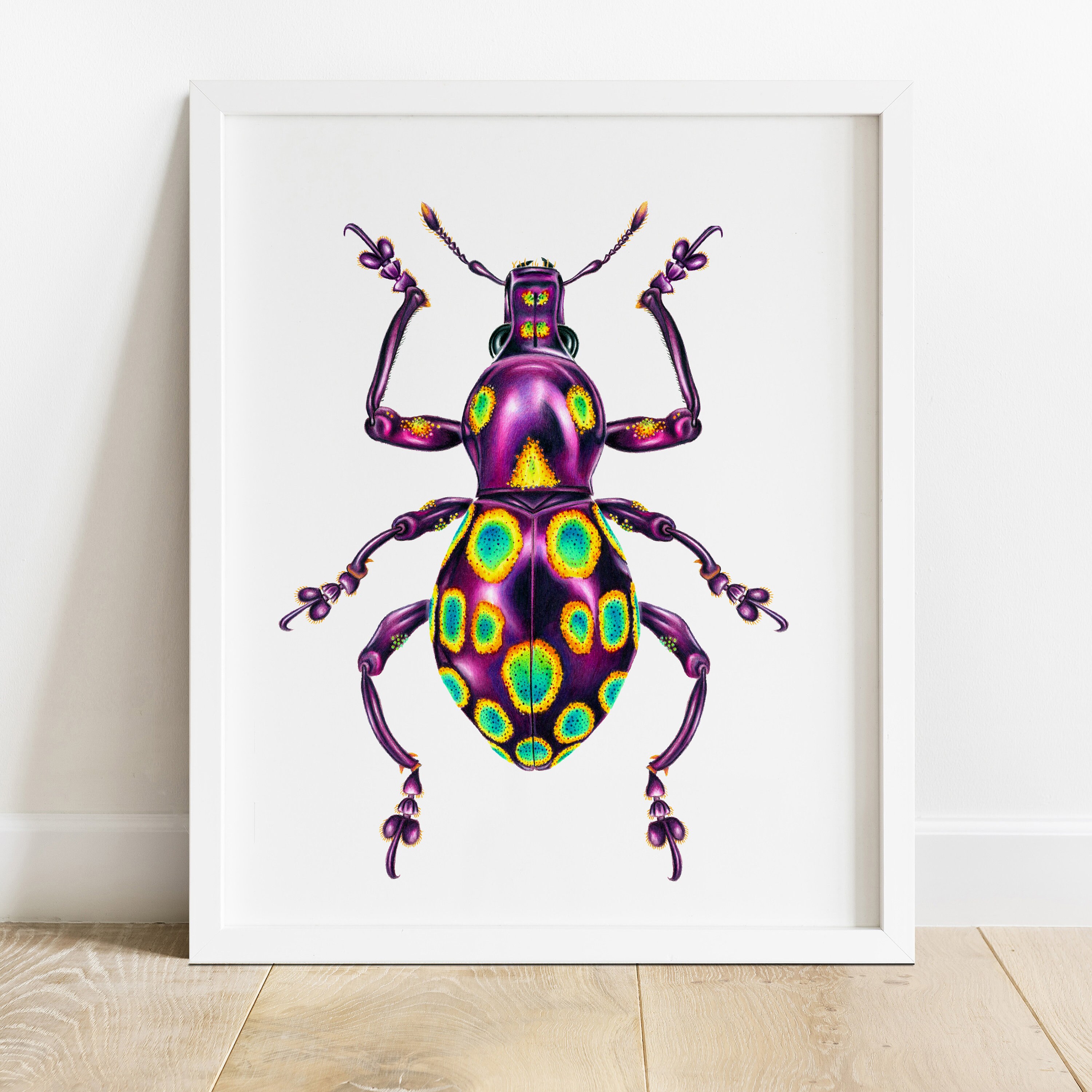 Weevil Print, Beetle Illustration, Pachyrhynchus Weevil, Insect Art ...
