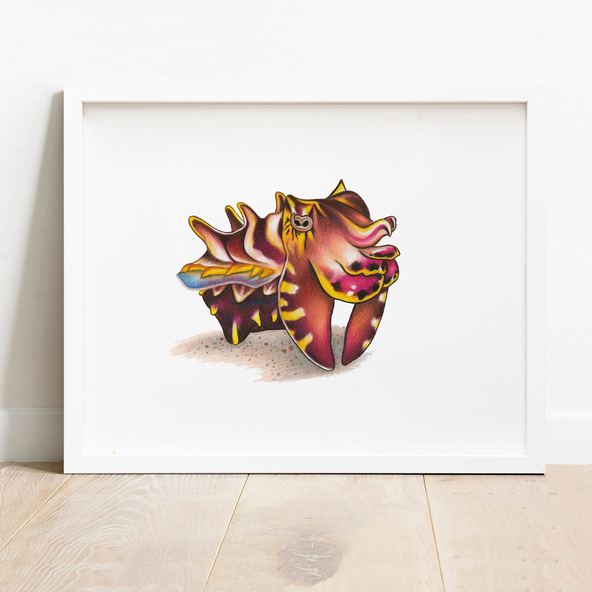 Cuttlefish Print, Marine Art, Coastal Decor, Beach Art - Etsy Canada