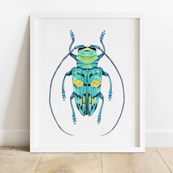 Beetle Print - Etsy