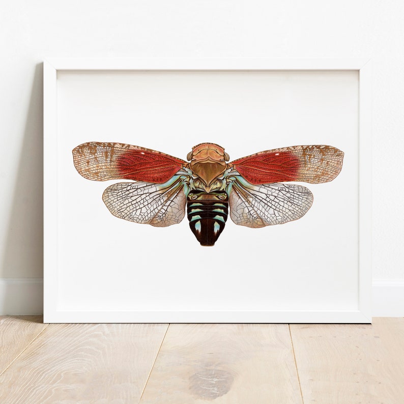 Planthopper Print, Insect Art, Colorful Bug Print, Entomology - Etsy