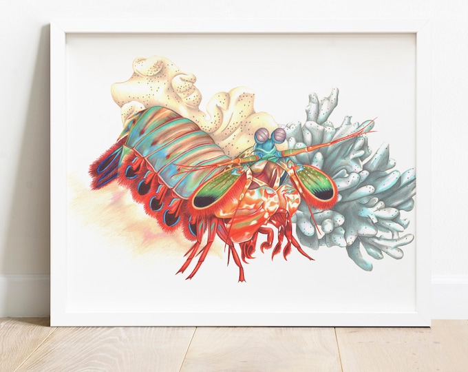 Mantis Shrimp Print, Rainbow Mantis, Colorful Art, Tropical Decor - Etsy