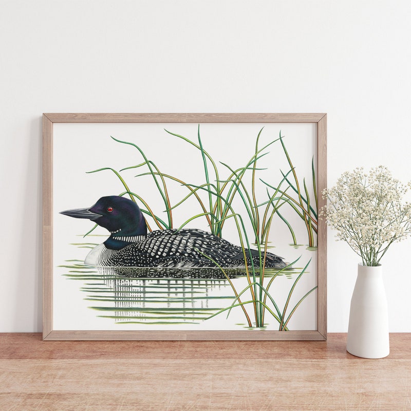 Loon Prints - Etsy