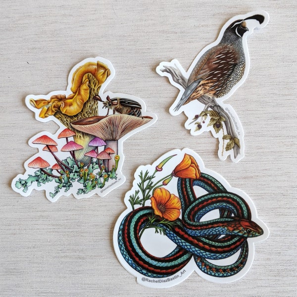 Quail Stickers - Etsy
