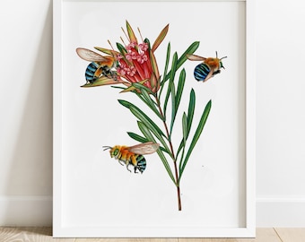 Native Bee Art - Etsy