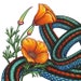 Snake Print, Garter Snake, Reptile Art, Botanical Art, California Poppy ...