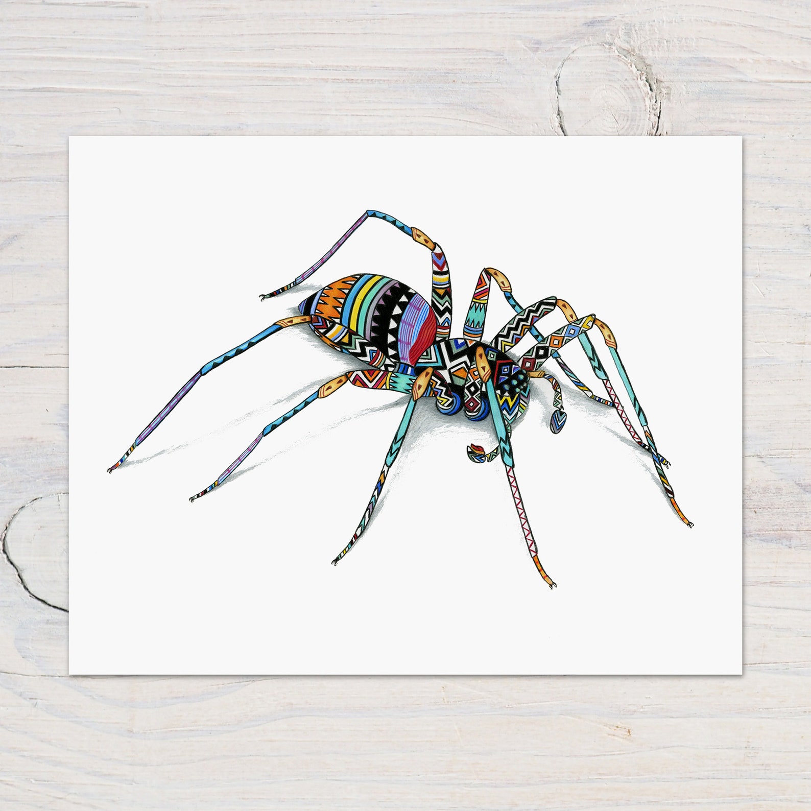 Spider Print, South African Spider, Anansi, Spirit Animal, Boho Decor ...