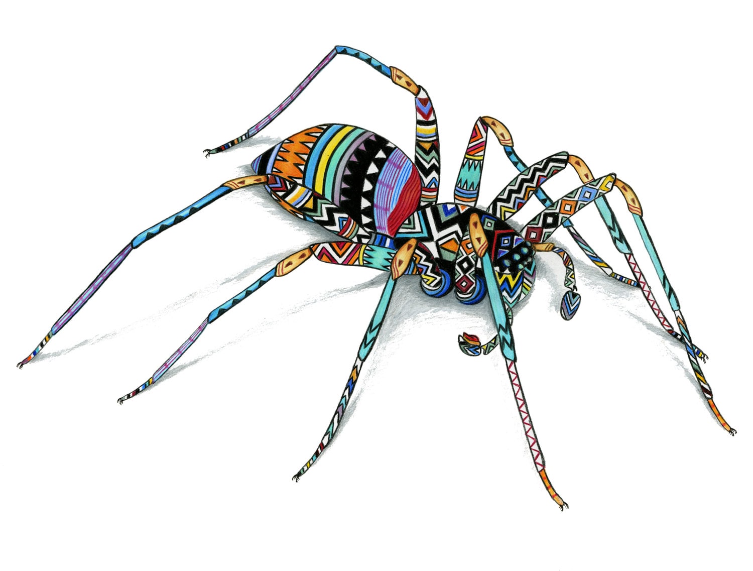 Spider Print, South African Spider, Anansi, Spirit Animal, Boho Decor ...