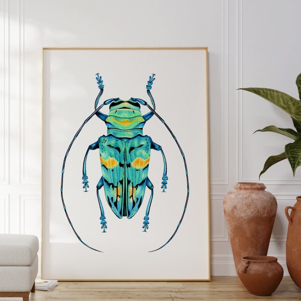 Beetle Print - Etsy
