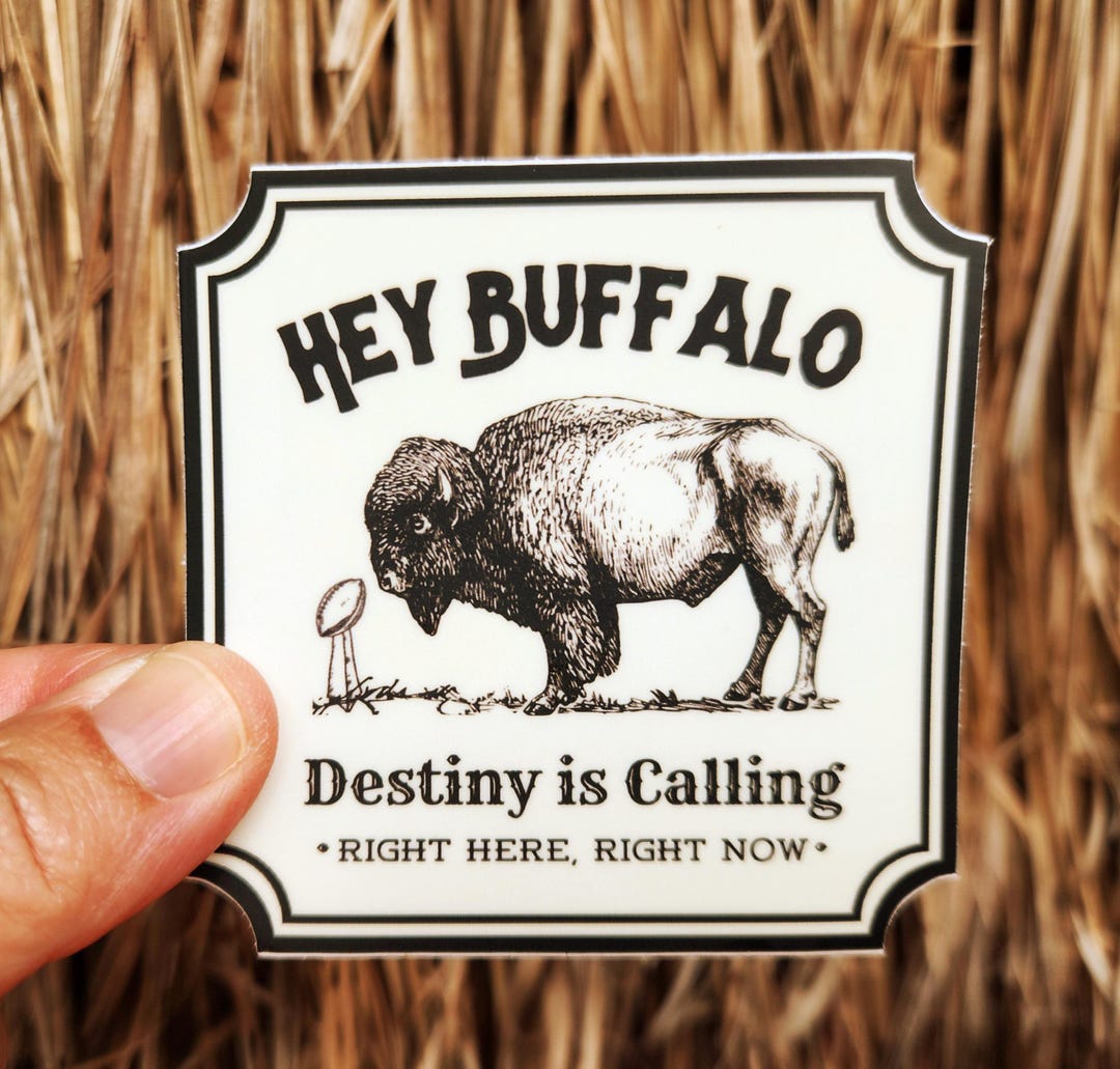 Buffalo Bills - Destiny is Calling - A Super Bowl Wish - 3 Inch Vinyl ...