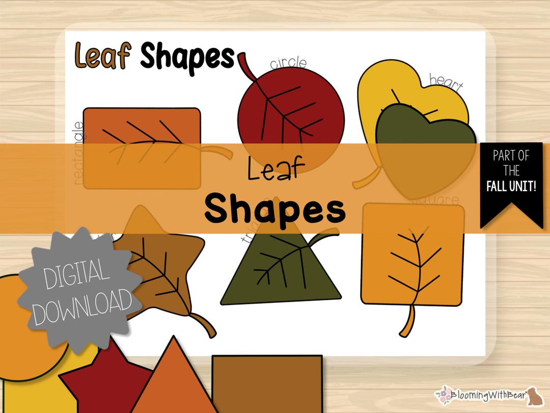 Leaf Shapes | Fall Activity | Autumn | Learning Shapes | Matching ...