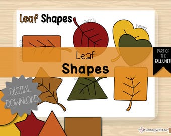 Leaf Shapes | Fall Activity | Autumn | Learning Shapes | Matching ...