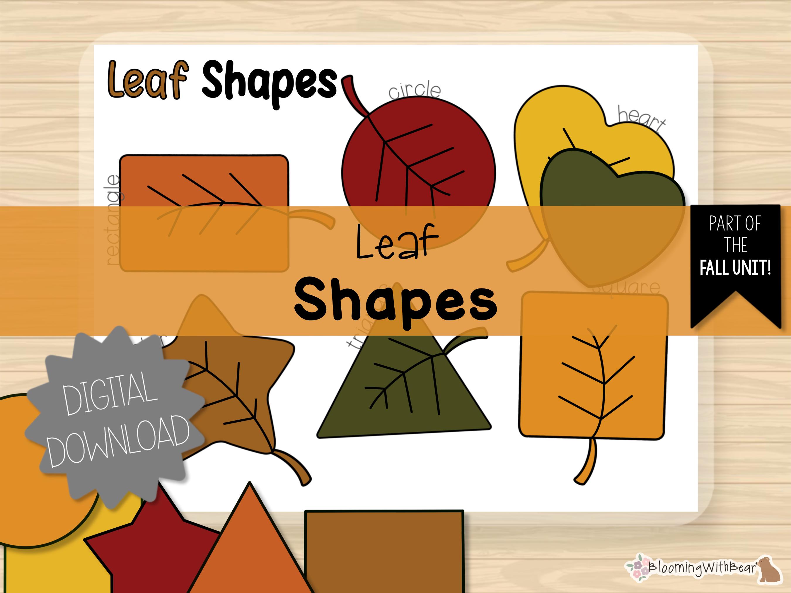 Leaf Shapes | Fall Activity | Autumn | Learning Shapes | Matching ...