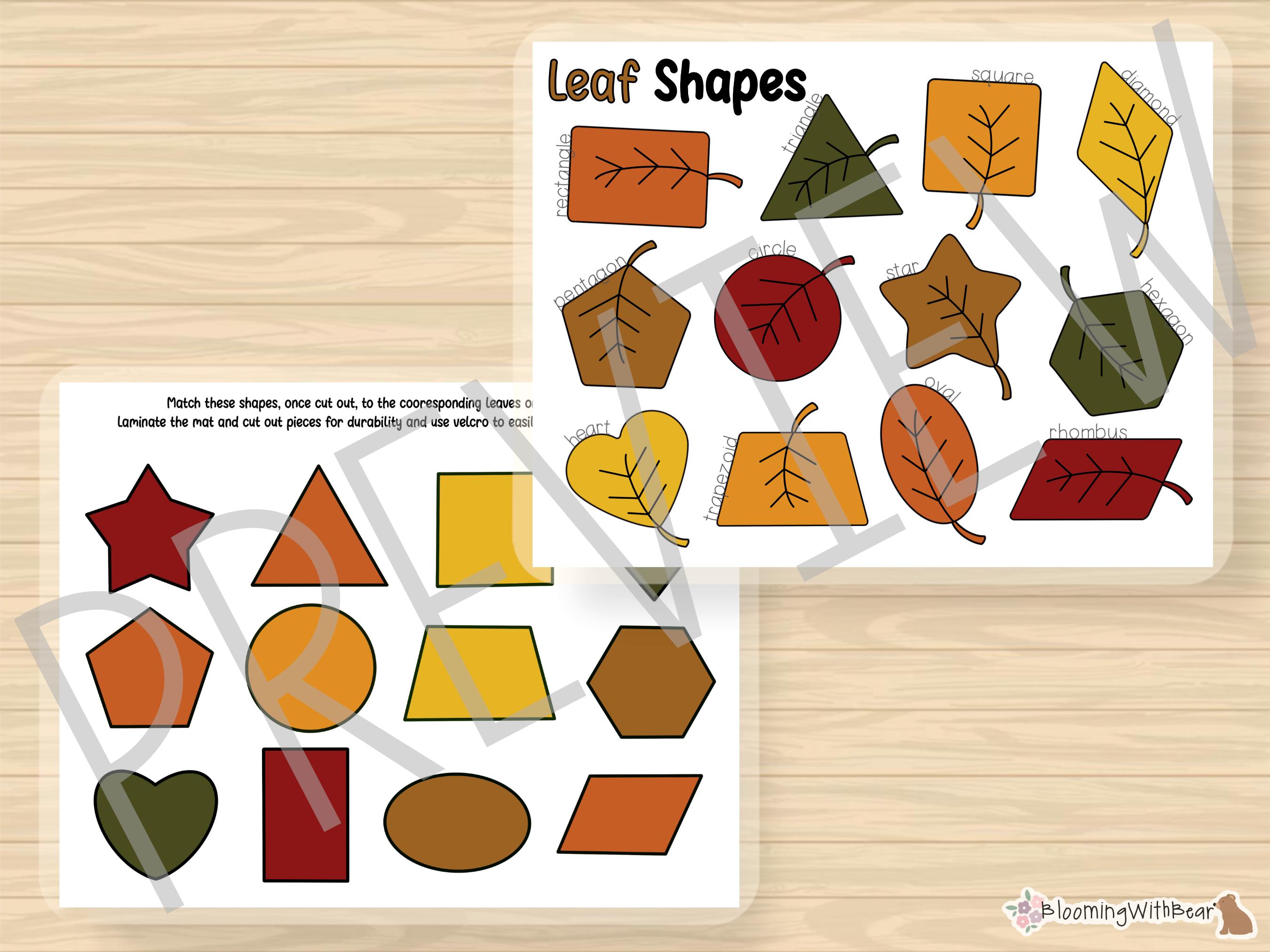 Leaf Shapes | Fall Activity | Autumn | Learning Shapes | Matching ...