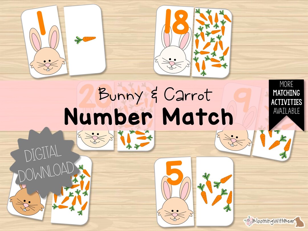 Number Match Bunny | Counting to 20 | Easter Matching | Number ...