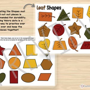Leaf Shapes | Fall Activity | Autumn | Learning Shapes | Matching ...