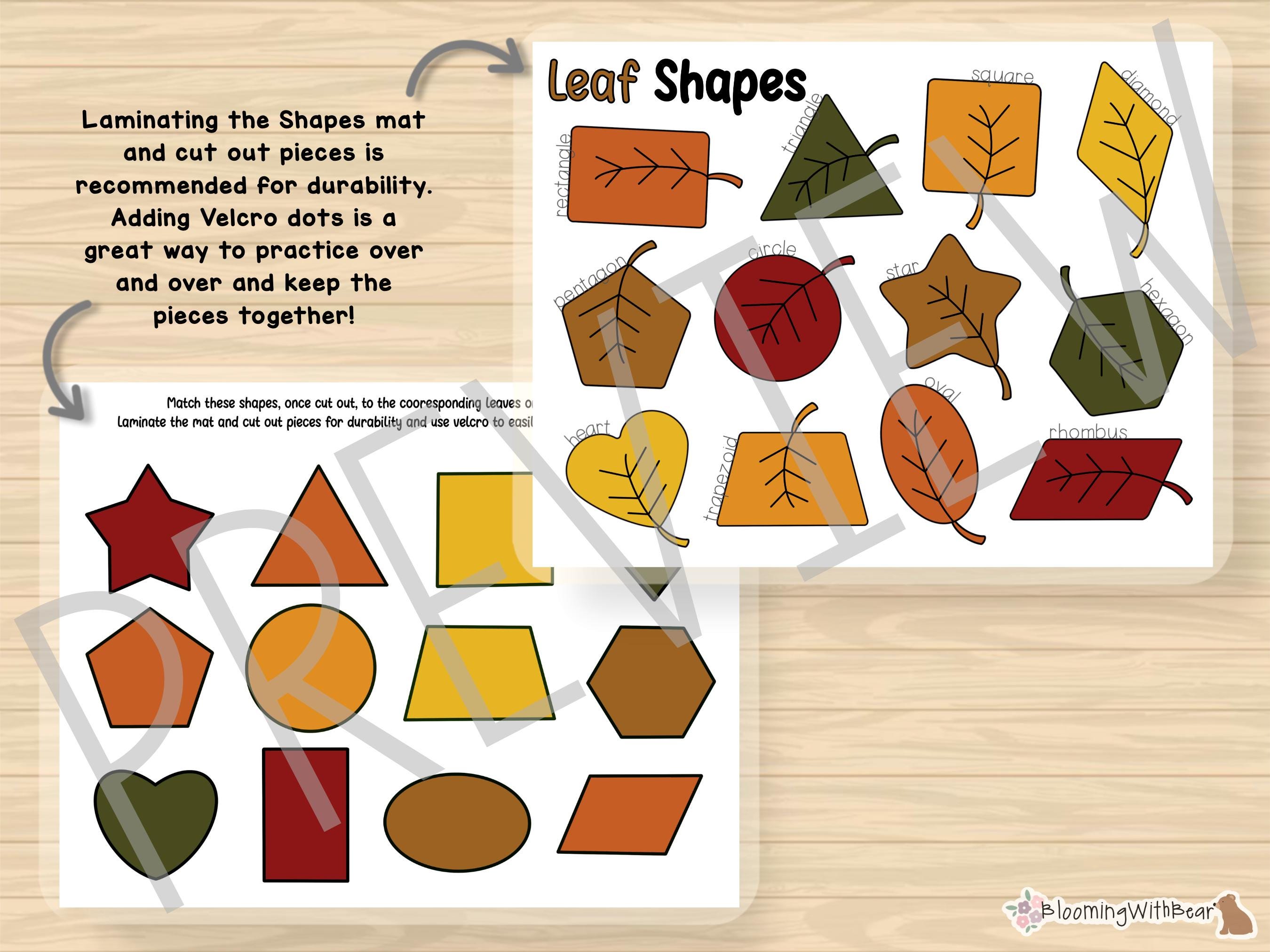 Leaf Shapes | Fall Activity | Autumn | Learning Shapes | Matching ...