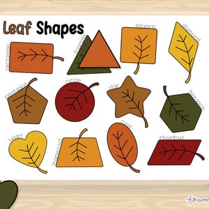 Leaf Shapes | Fall Activity | Autumn | Learning Shapes | Matching ...