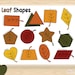 Leaf Shapes | Fall Activity | Autumn | Learning Shapes | Matching ...