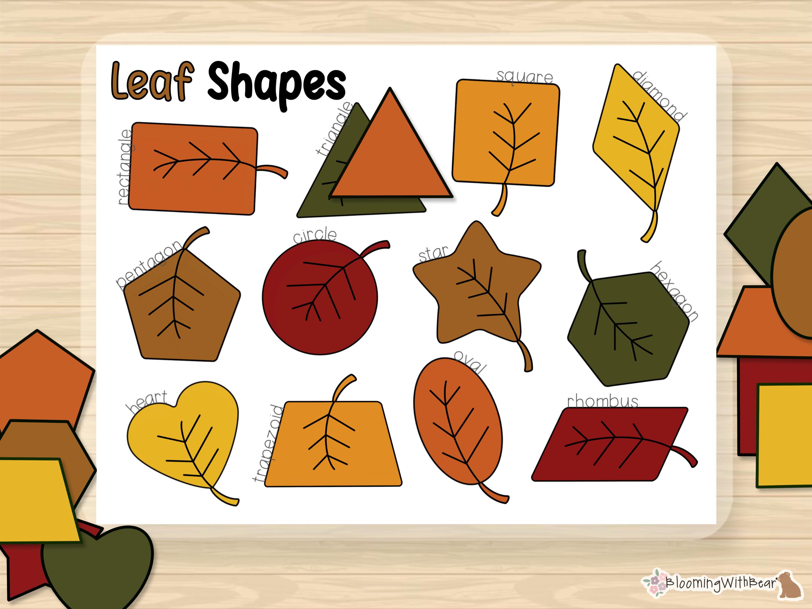 Leaf Shapes | Fall Activity | Autumn | Learning Shapes | Matching ...