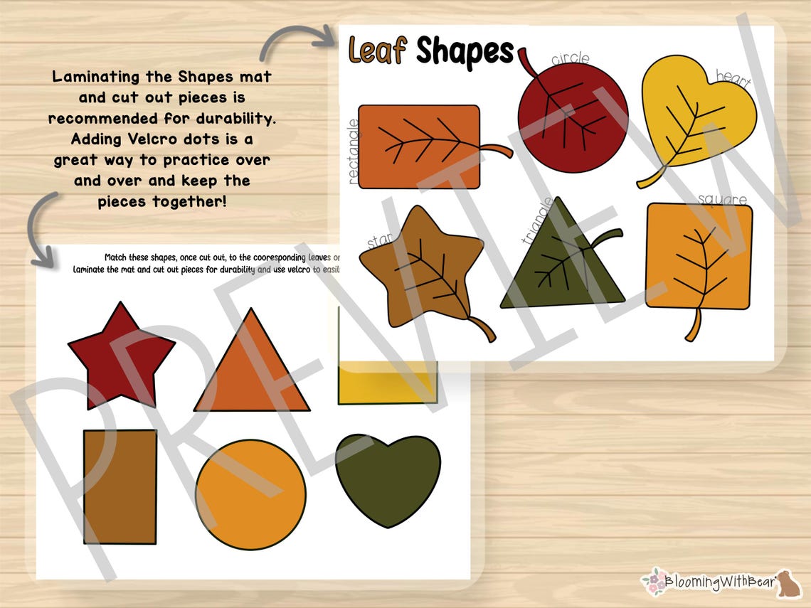 Leaf Shapes | Fall Activity | Autumn | Learning Shapes | Matching ...