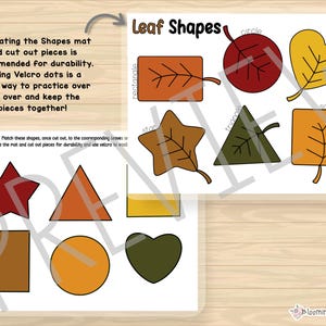 Leaf Shapes | Fall Activity | Autumn | Learning Shapes | Matching ...