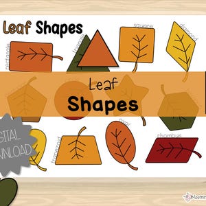 Leaf Shapes | Fall Activity | Autumn | Learning Shapes | Matching ...