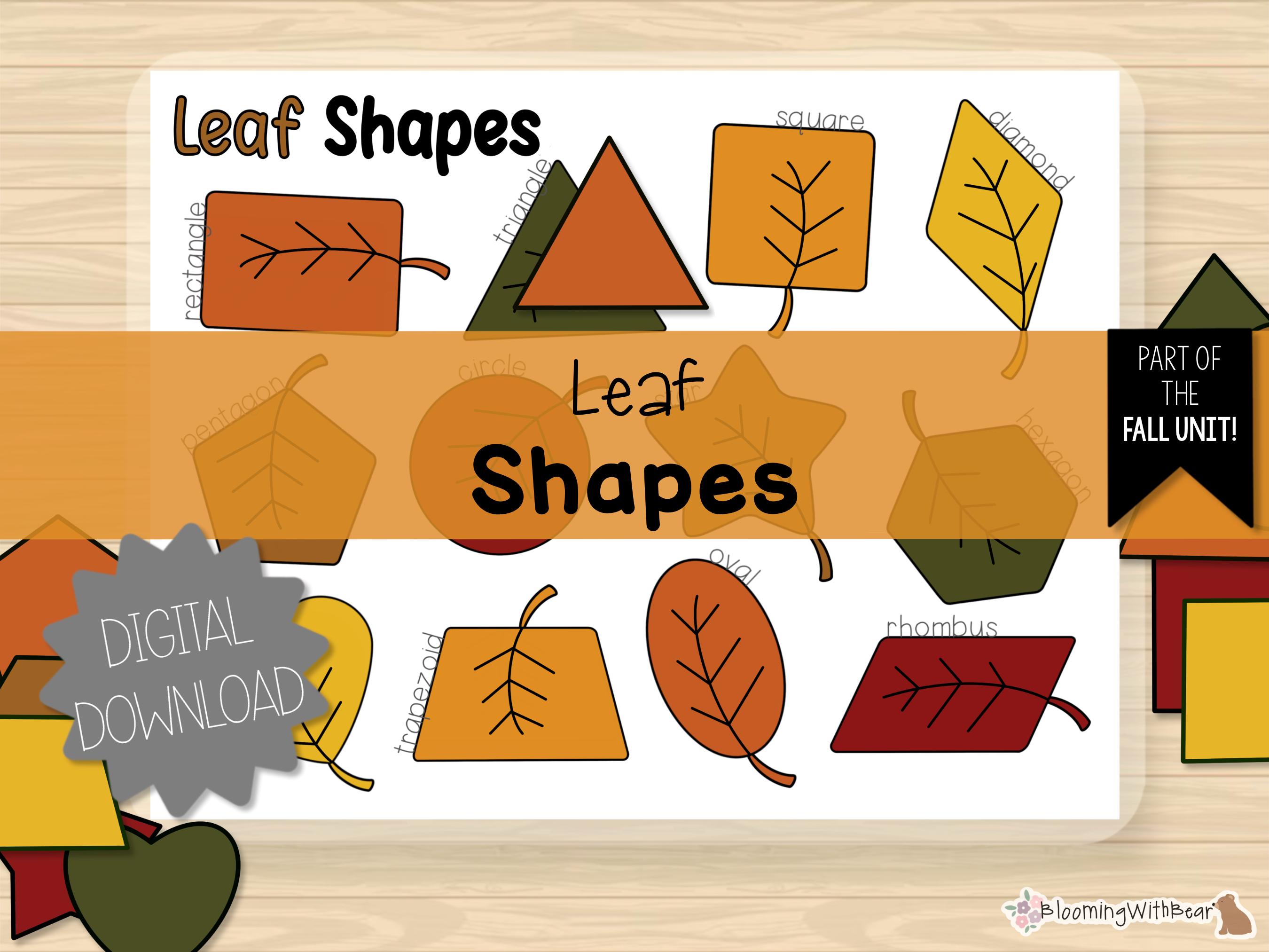 Leaf Shapes | Fall Activity | Autumn | Learning Shapes | Matching ...