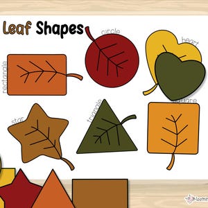 Leaf Shapes | Fall Activity | Autumn | Learning Shapes | Matching ...