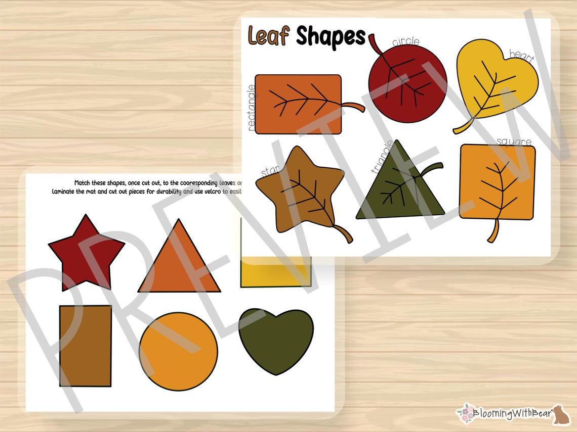 Leaf Shapes | Fall Activity | Autumn | Learning Shapes | Matching ...