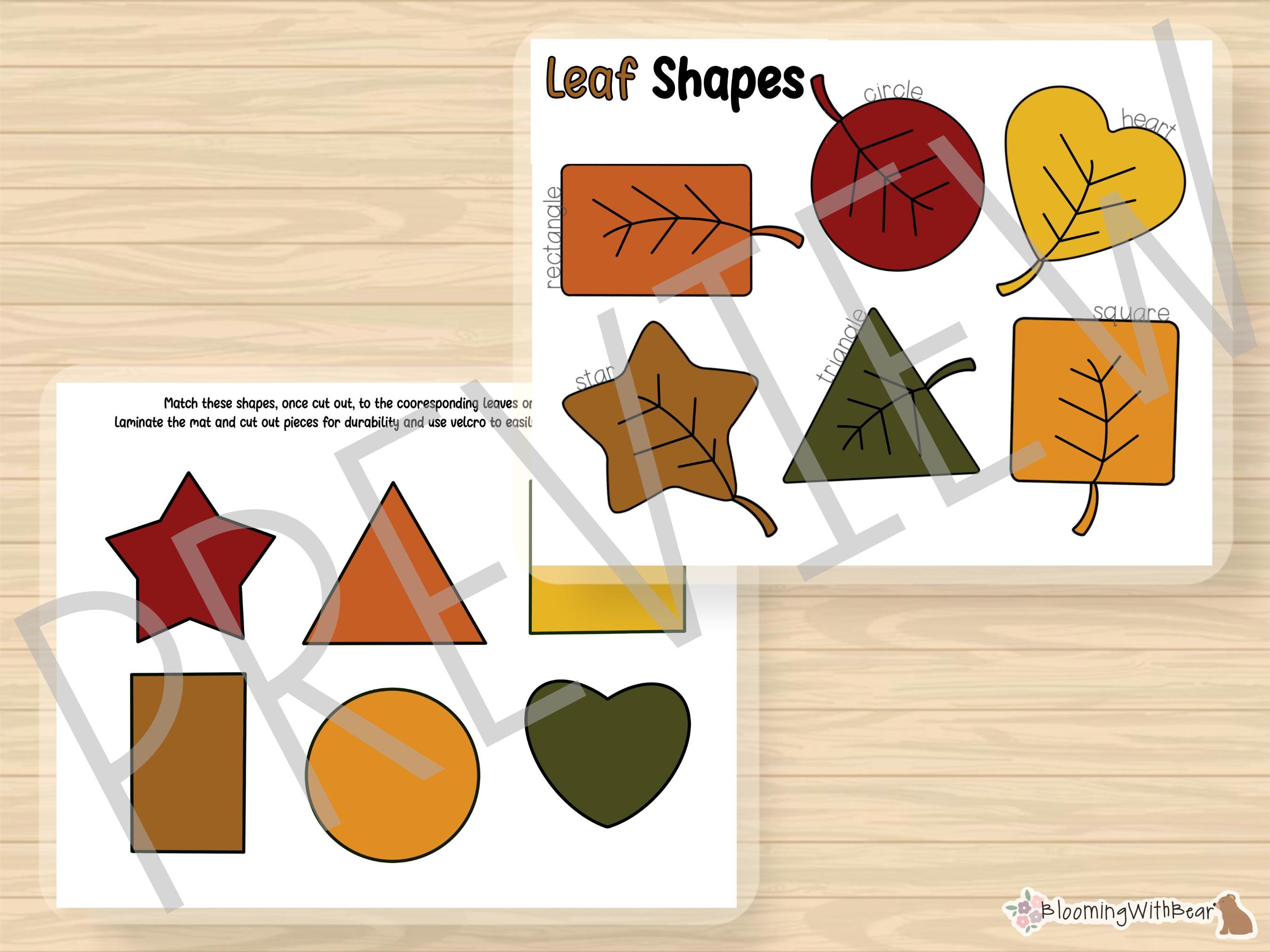 Leaf Shapes | Fall Activity | Autumn | Learning Shapes | Matching ...