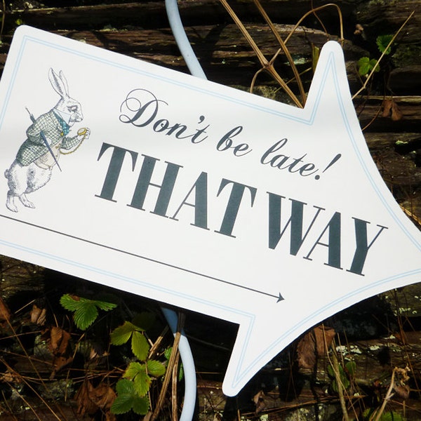 Alice in Wonderland This Way That Way Printables - Etsy