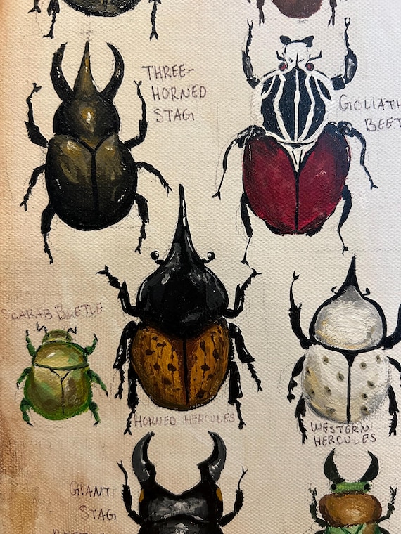 Giant Stag Beetle Acnh