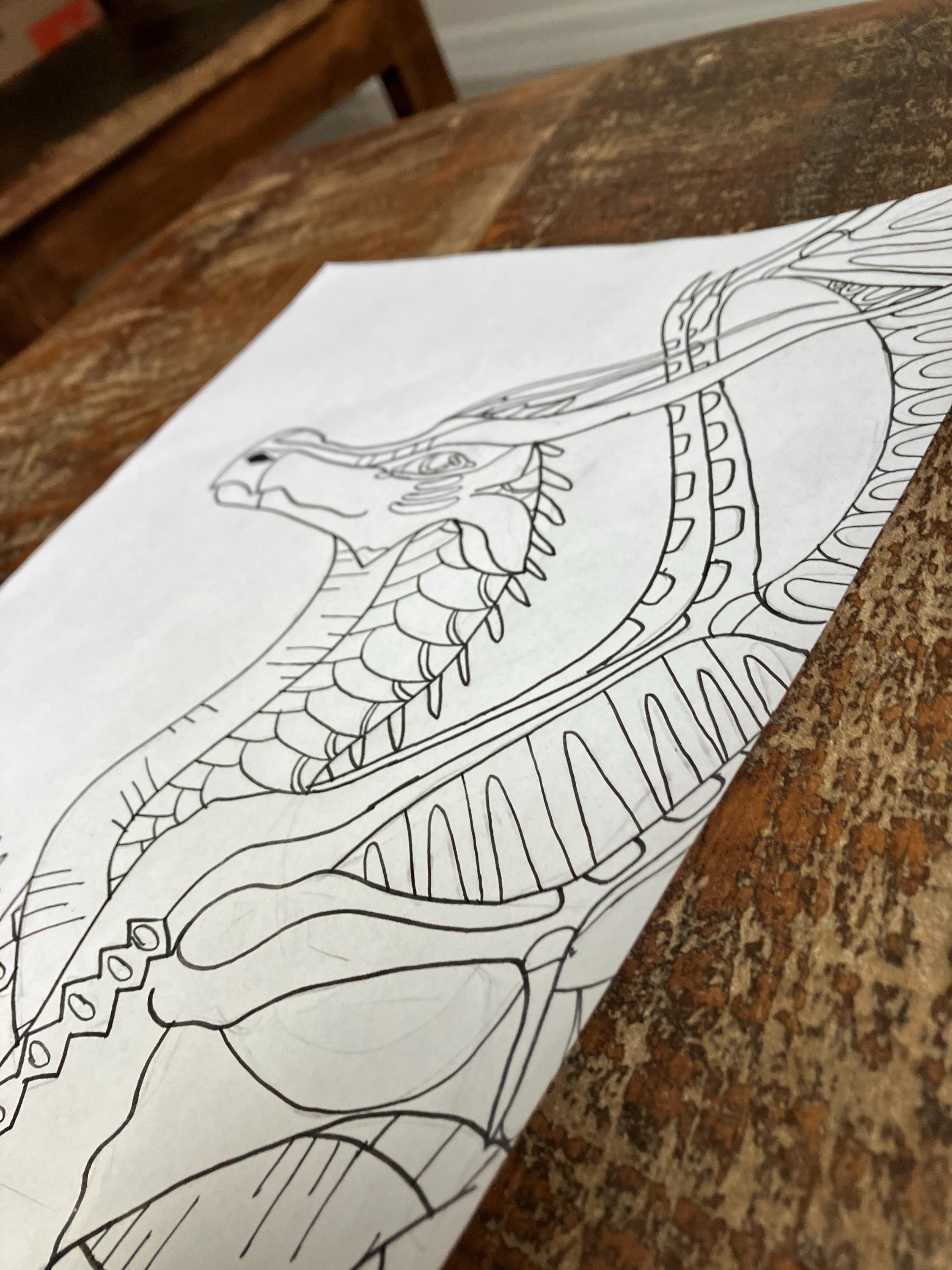 Wings of Fire Coloring Sheet(silkwing) - Etsy