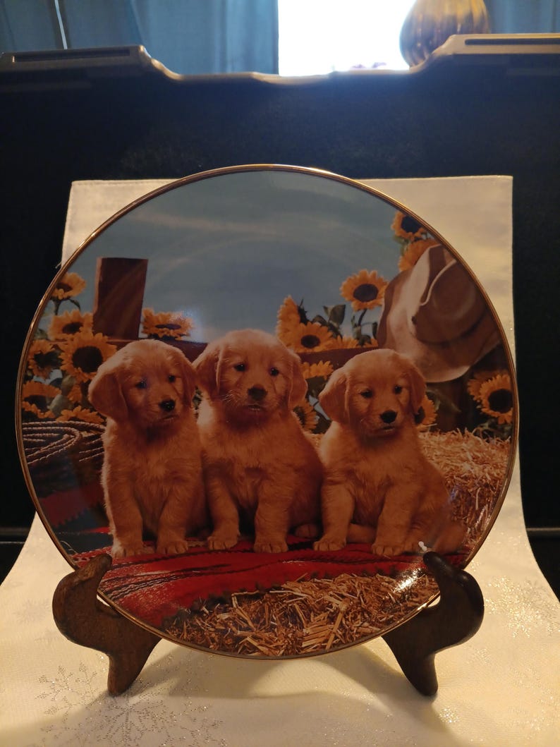 Royal Doulton Collector Plates 2 Danbury Mint Colecror Plates Puppies ...