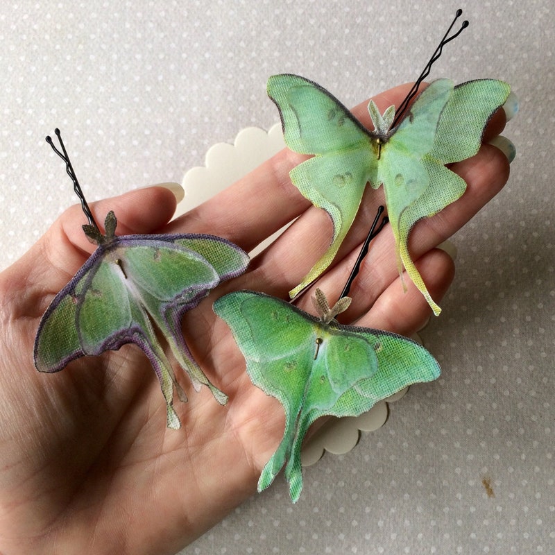 Luna Moth Pin - Etsy
