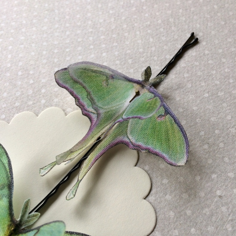 Luna Moth Hair Pin Collection Butterfly Hair Pin Luna Moth - Etsy
