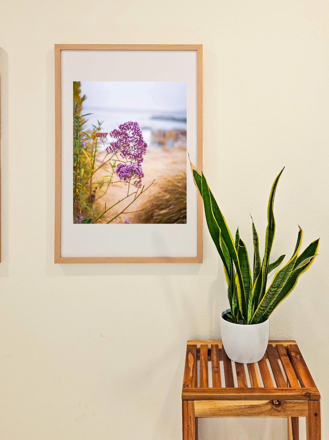 Sea Lavender Beach Flower Monterey California Coastal Photography Home ...