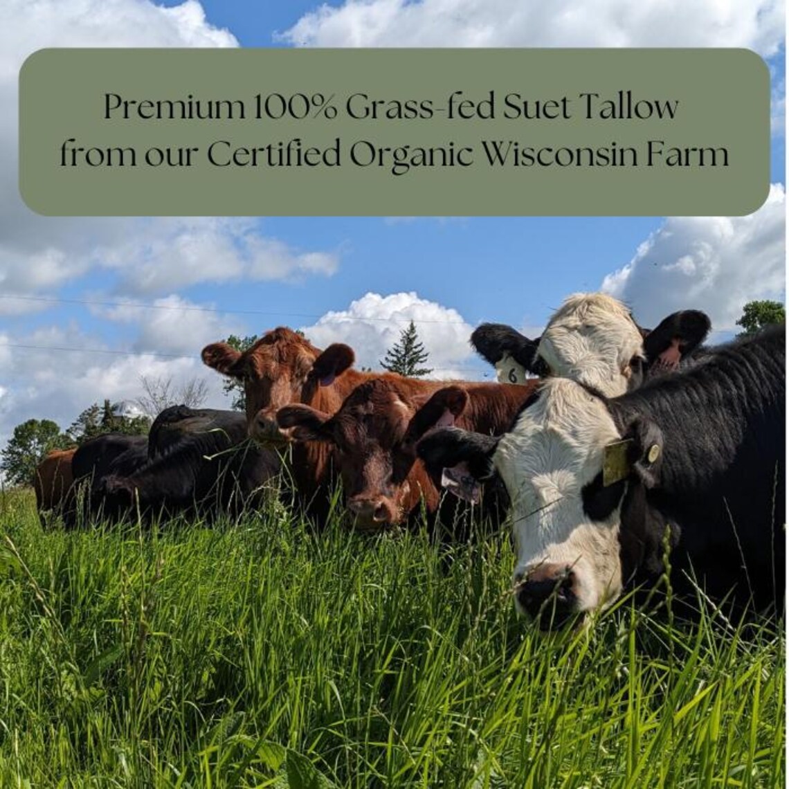 Tallow: Organic 100% Grass Fed for Skincare, Soap / Single Source ...