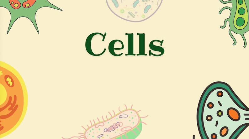 Introduction to Cells Review Powerpoint - Etsy
