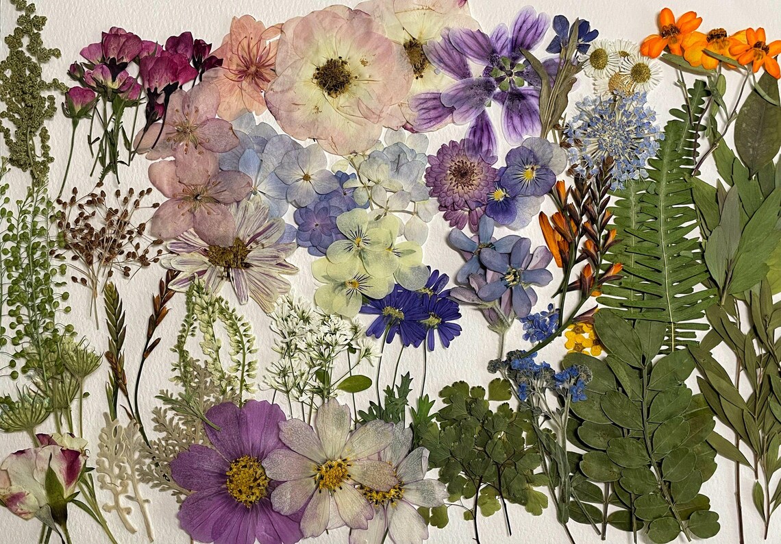 REAL FLOWER Wall Art Flower Garden Green Handmade Dried Flower in Frame ...