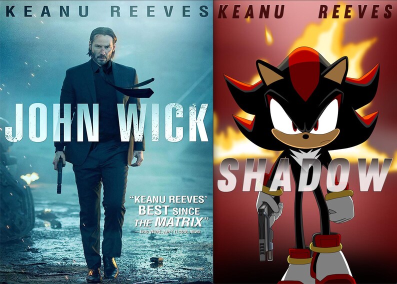 Shadow the Hedgehog John Wick Style Art Poster - Etsy