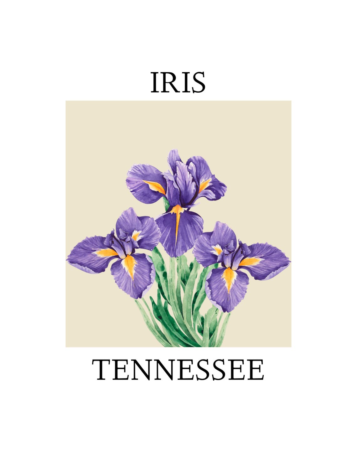 Tennessee State Flower Poster – Botanical State Flower Illustration - Etsy