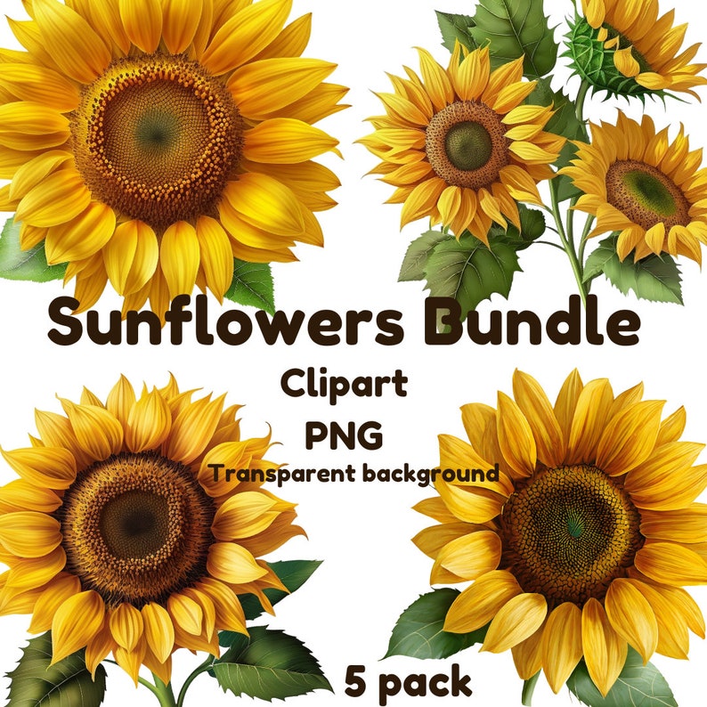 Sunflower Clipart, Sunflower Png Sunflower Bundle, Floral Clipart ...
