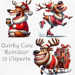 Christmas Quirky Reindeer Clipart Bundle. Quirky Cute Reindeer 12 PNG ...