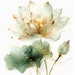 Printable Pressed Lotus Flowers. Digital Pressed Flowers Sublimation ...