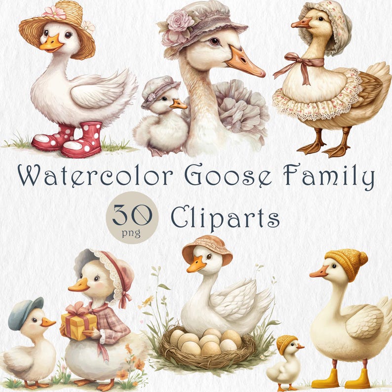 Watercolor Goose Family Clipart Set. Cute Vintage Goose Pngs. Farm ...