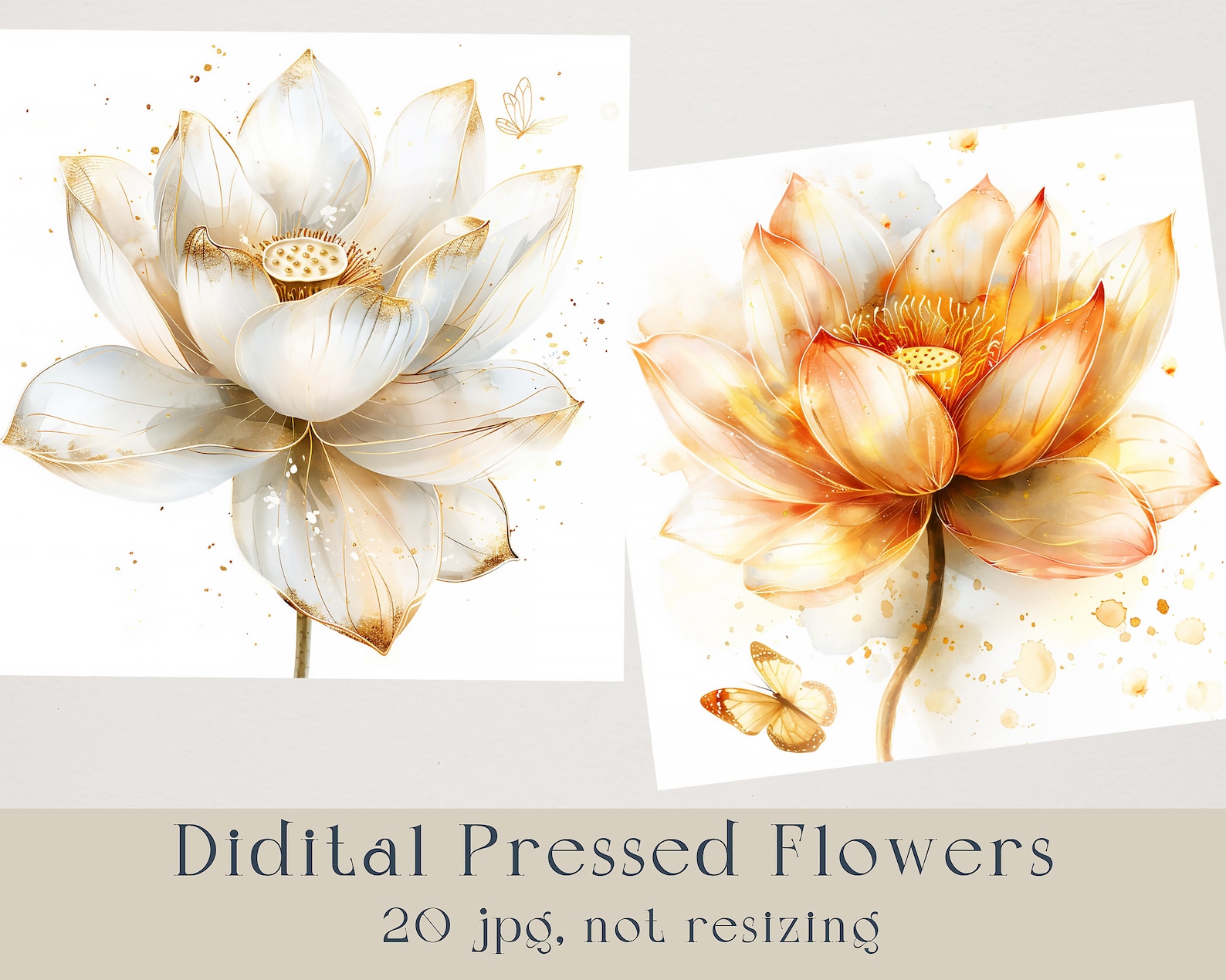 Printable Pressed Lotus Flowers. Digital Pressed Flowers Sublimation ...